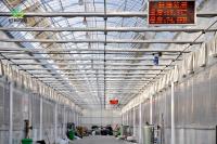 China Anti-Drip Glasshouse for Tomato Cucumber Lettuce 12.09cm * 2.35cm * 2.39cm Package Size for sale