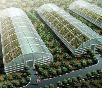 China Pepper Cultivation Dual-Layer Film Greenhouse 12.09cm * 2.35cm * 2.39cm Package Size for sale