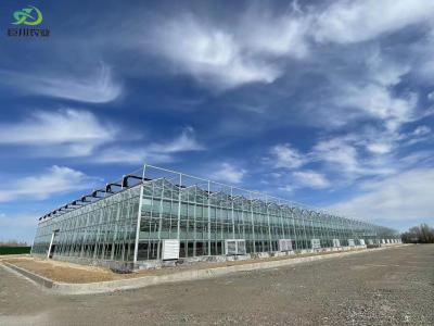 China Juxiang's Humidity-Controlled Planting Facility Package Gross Weight 2000.000kg Solution for sale