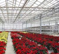 China Maximize Your Tomato Yield with Anti-Drip Technology Greenhouse and Temporary Heating for sale