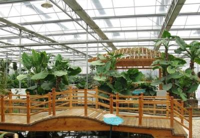 China Juxiang's Humidity-Controlled Planting Facility The Perfect Solution for Plant Growth for sale