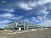 China Green Leaves Vegetables Film PC Sheet Agricultural Multi-Span Greenhouses for Hydroponics for sale