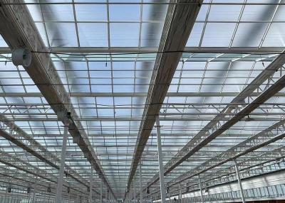 China The Perfect Multi-Span Fogging Greenhouse for Hydroponic/Soilless/Stromal Cultivation for sale