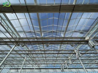 China Customized Request for Commercial Greenhouse Tomato Cucumber Lettuce Glasshouse System for sale