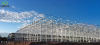 China Tunnel Cultivation Method Multi Span Greenhouse with Hot-DIP Galvanized Steel Pipe for sale