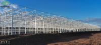 China Tunnel Cultivation Method Multi Span Greenhouse with Hot-DIP Galvanized Steel Pipe for sale