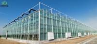 China Tunnel Cultivation Method Multi Span Greenhouse with Hot-DIP Galvanized Steel Pipe for sale