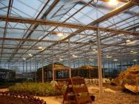 China Tomato Cucumber Lettuce Growing System Gross Weight 2000.000kg Request Customization for sale