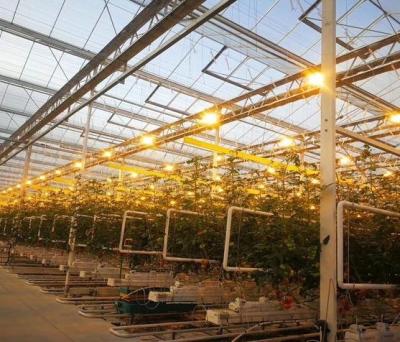 China Juxiang Plastic Film Seedling Facility Steel Structure for Convenient Returns Refunds for sale