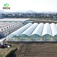 China USA/Ca Agricultural Single-Span Tunnel Film Greenhouse for Mushroom and Vegetables for sale