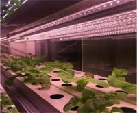 China 2000.000kg Water Sprayer Controlled Environment Room for Seeding/Vegetables/Fruit/Flower for sale