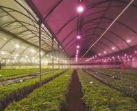 China 2000.000kg Water Sprayer Controlled Environment Room for Seeding/Vegetables/Fruit/Flower for sale