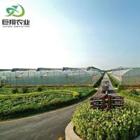 China Customized Film Thickness Agricultural Used Plastic Film Hydropoinics Greenhouses for sale