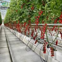 China Customized Film Thickness Agricultural Used Plastic Film Hydropoinics Greenhouses for sale