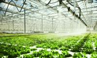 China Multi-Span Planting Room for Seedlings in Greenhouse Package Gross Weight 2000.000kg for sale