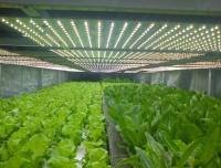 China Multi-Span Planting Room for Seedlings in Greenhouse Package Gross Weight 2000.000kg for sale