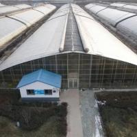 China Aquaculture Double Arch Beam Sunlight Greenhouse with Snow Vibrator in Heavy Snow Area for sale