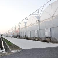 China Aquaculture Double Arch Beam Sunlight Greenhouse with Snow Vibrator in Heavy Snow Area for sale