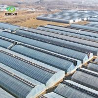 China Steel-Plastic Double Arch Beam Greenhouse with Snow Vibrator Arched Roof Heavy Snow Area for sale