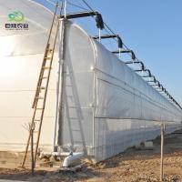 China Steel-Plastic Double Arch Beam Greenhouse with Snow Vibrator Arched Roof Heavy Snow Area for sale