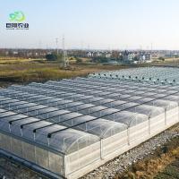 China Double Arch Beam Sunlight Greenhouse for Heavy Snow Area Featuring Snow Vibrator for sale