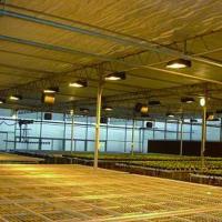 China Return refunds Guaranteed Multi-Span Greenhouse for Growing Tomato Cucumber Lettuce for sale
