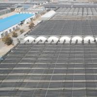 China Continuous Heating and Tunnel Cultivation Method Agricultural Plastic Film Greenhouse for sale