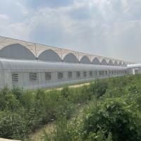 China Agricultural Multi-Span Plastic Tunnel Film Greenhouse with Eaves Height from 3m to 8m for sale