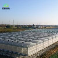 China Agricultural Multi-Span Plastic Tunnel Film Greenhouse with Eaves Height from 3m to 8m for sale