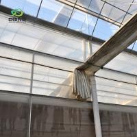 China Agricultural Multi-Span Plastic Tunnel Film Greenhouse with Eaves Height from 3m to 8m for sale