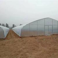 China Arched Roof Agricultural Multi-Span Plastic Tunnel JX-PC Green House for Agriculture for sale