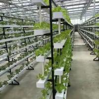 China Maximize Growth with Soilless Culture System in Arched Roof Container Greenhouse for sale