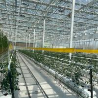 China Maximize Growth with Soilless Culture System in Arched Roof Container Greenhouse for sale