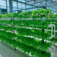 China Maximize Growth with Soilless Culture System in Arched Roof Container Greenhouse for sale
