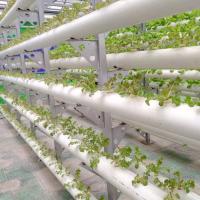 China Customized Soilless Culture Solutions for Glass Greenhouse Department Cover Material Film for sale