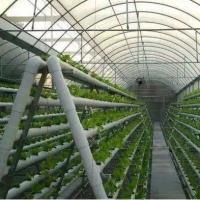 China Customized Soilless Culture Solutions for Glass Greenhouse Department Cover Material Film for sale