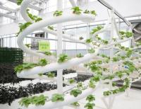 China Farming Film Greenhouse Hydroponic Setup with Steel Structure and Large-Scale Capacity for sale