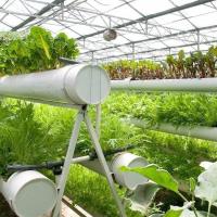 China Film Farming Made Easy Advanced Soilless Culture Techniques for Commercial Greenhouse for sale