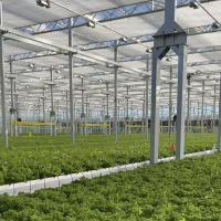 China JX-A0061 Glass Greenhouse Hydroponic System for Vegetables 100.000kg Package Weight for sale