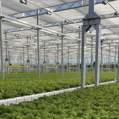 China JX-A0061 Glass Greenhouse Hydroponic System for Vegetables 100.000kg Package Weight for sale