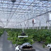 China JX-A0061 Glass Greenhouse Hydroponic System for Vegetables 100.000kg Package Weight for sale
