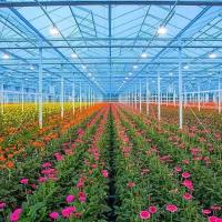 China JX-A0061 Glass Greenhouse Hydroponic System for Vegetables 100.000kg Package Weight for sale