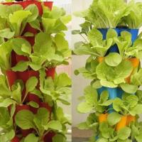 China Film Greenhouse Hydroponic System Package Gross Weight 2000.000kg Customized Request for sale