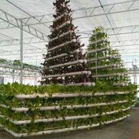 China 6/9.6/12meters Cultivation Method Hydroponic System for Juxiang Film Greenhouse Easy for sale