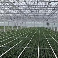 China JX-A0064 Large Float Single Layer Hollow Glass Greenhouse for Hydroponics Growing for sale