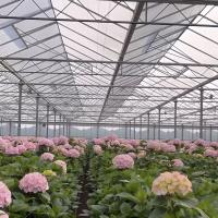 China A Type Roof Glass Greenhouse Hydroponics System for Flowers Affordable Shipping Cost for sale