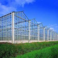 China A Type Roof Glass Greenhouse Hydroponics System for Flowers Affordable Shipping Cost for sale