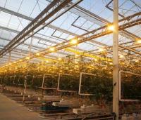 China Anti-Drip Fogging Illuminating Greenhouse for Seedling Cultivation Customized Request for sale