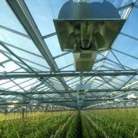 China Anti-Drip Fogging Illuminating Greenhouse for Seedling Cultivation Customized Request for sale