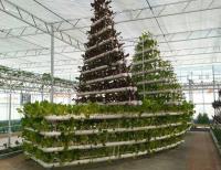 China Glass Greenhouse Hydroponic Setup for Year-Round Cultivation Affordable Shipping Cost for sale